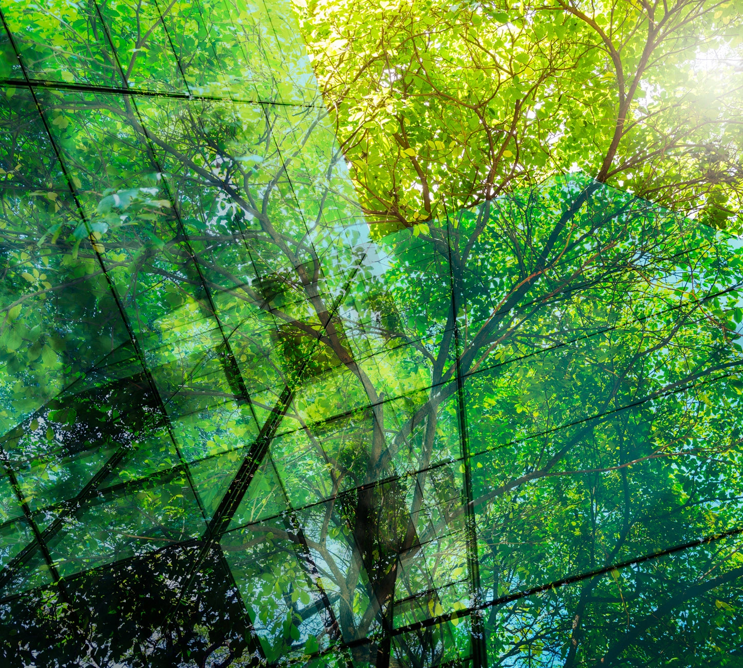 SEC Adopts Final Version of Climate Change Disclosure Rules | Grant ...